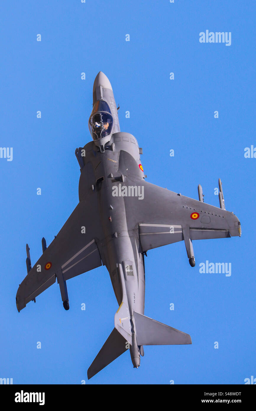 AV-8B Harrier display jet of the spanish armada (navy Stock Photo - Alamy
