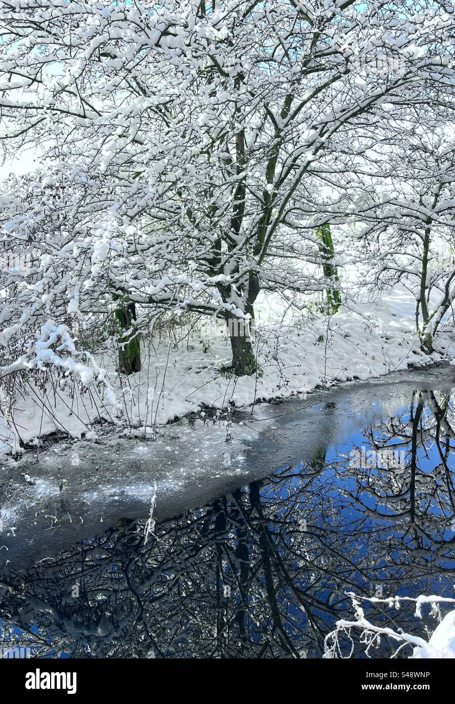 Tree at River Snow landscape Stock Photo - Alamy