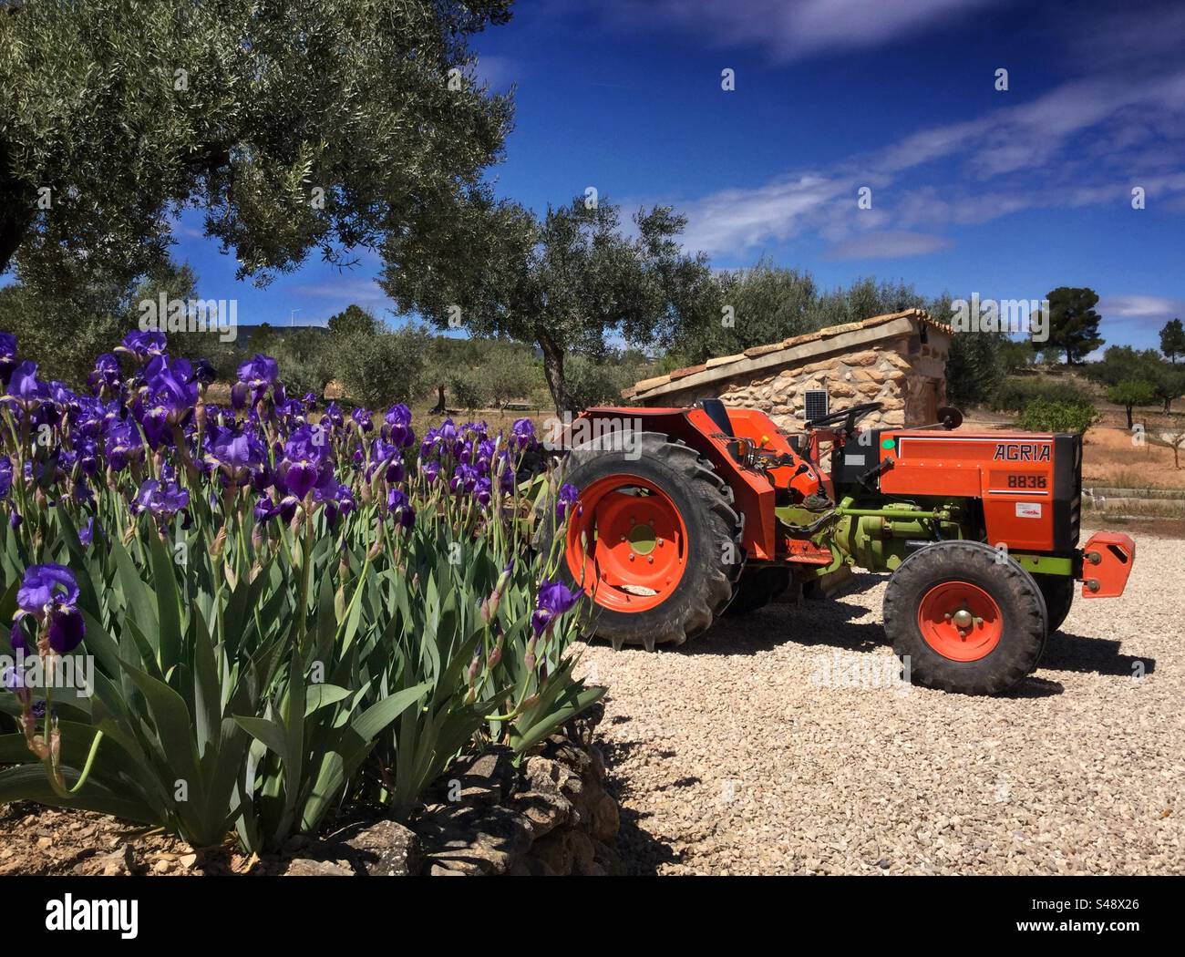 Agria 8838 hi-res stock photography and images - Alamy