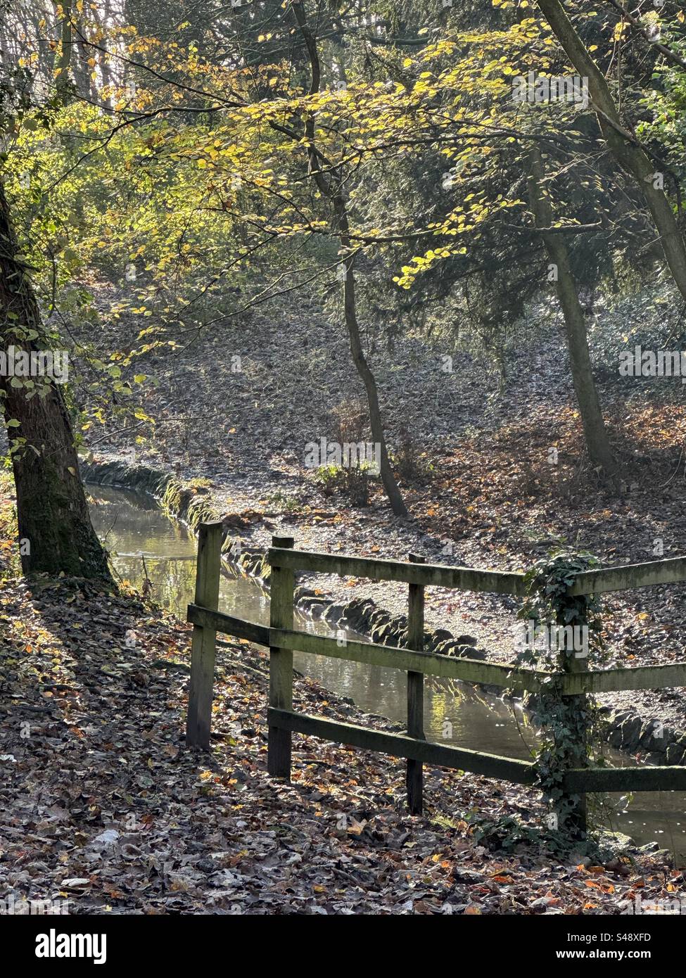 Shipley park hi-res stock photography and images - Alamy