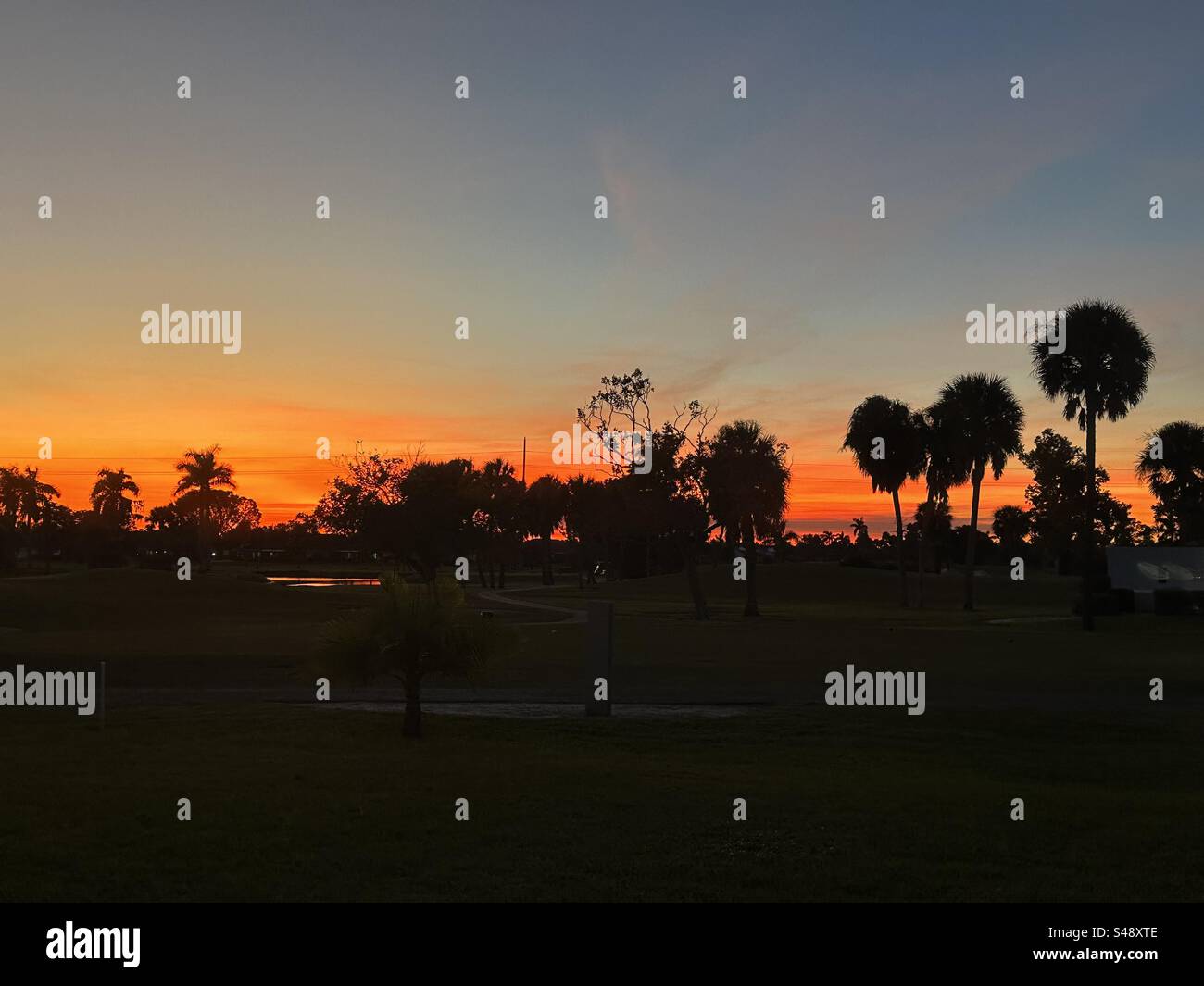 Florida golf course hi-res stock photography and images - Alamy