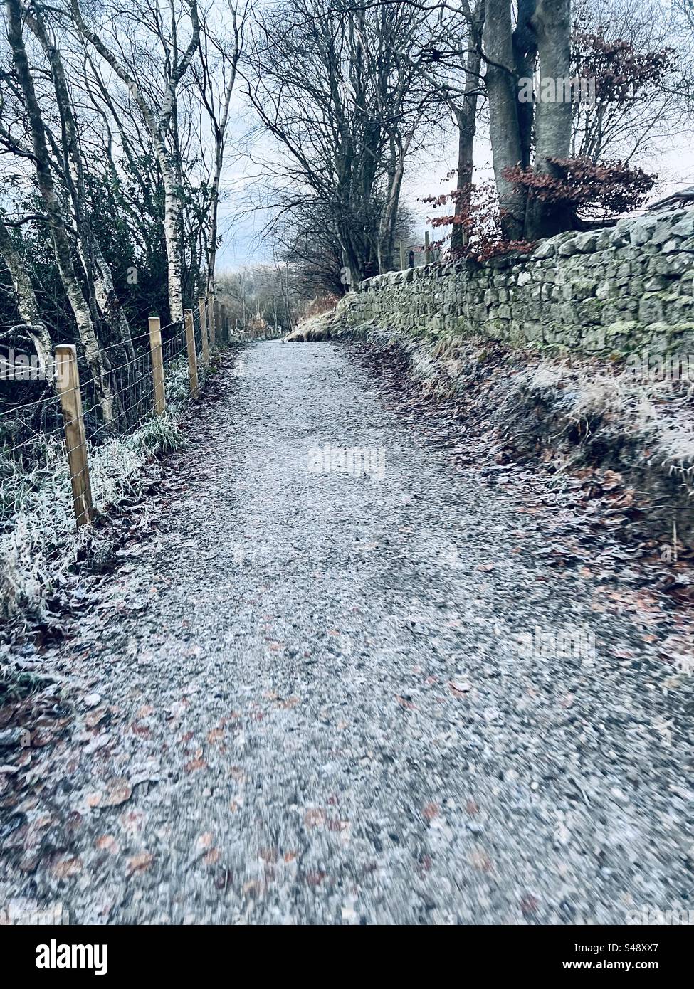 Winter walk - Frosty path Stock Photo - Alamy
