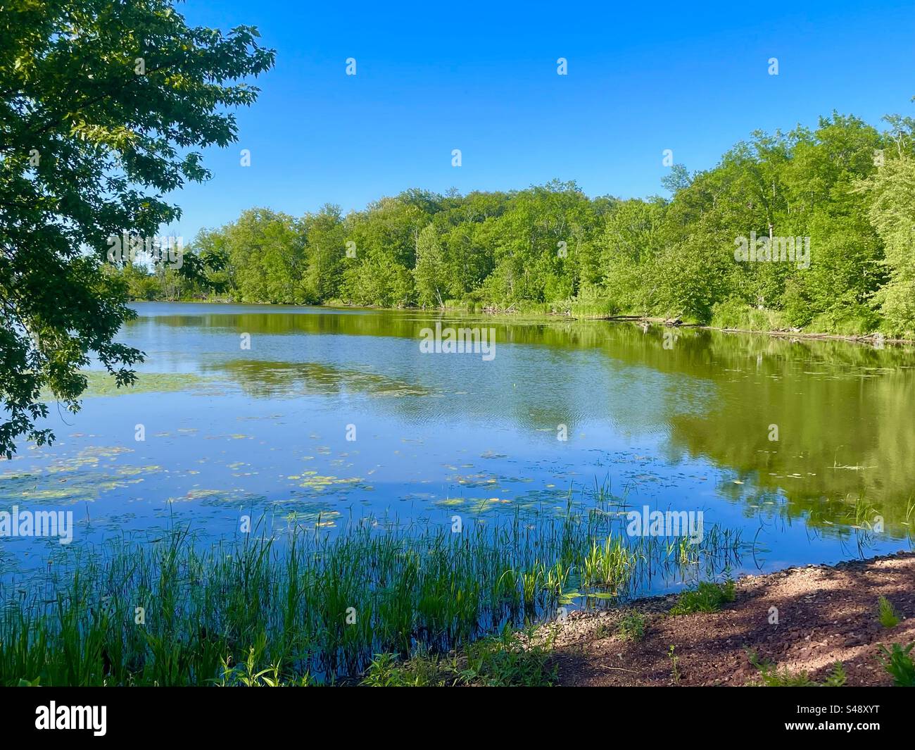Emily wing hi-res stock photography and images - Alamy