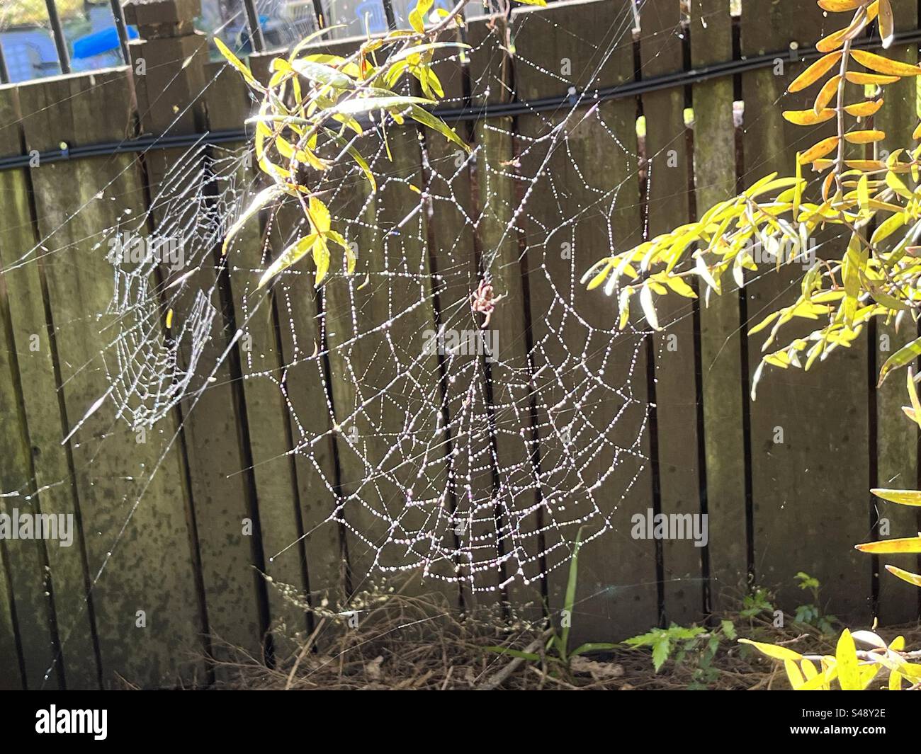 Centre of web hi-res stock photography and images - Alamy