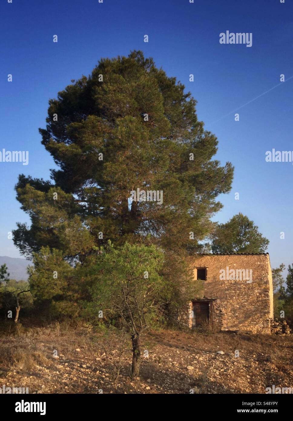 Rustic agricultural building, Catalonia, Spain Stock Photo - Alamy