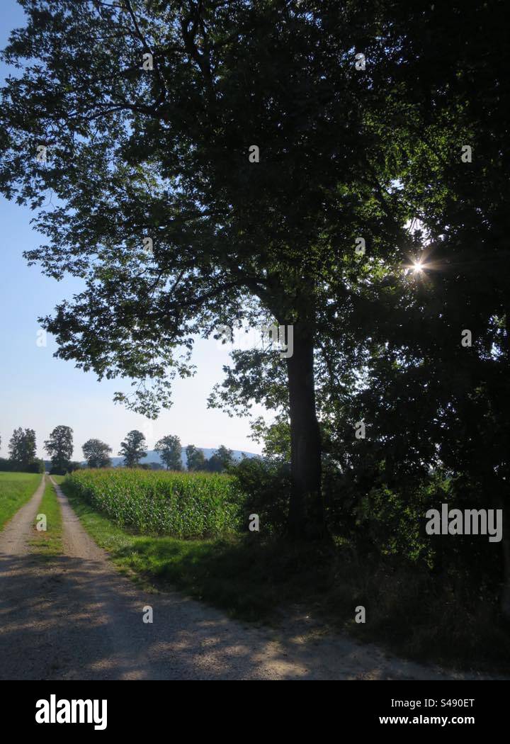 Switzerland vibes hi-res stock photography and images - Alamy