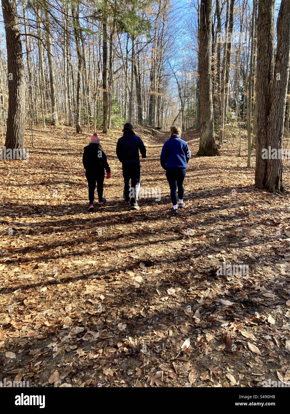 Hiking in Gatineau Park in the late Fall Stock Photo - Alamy