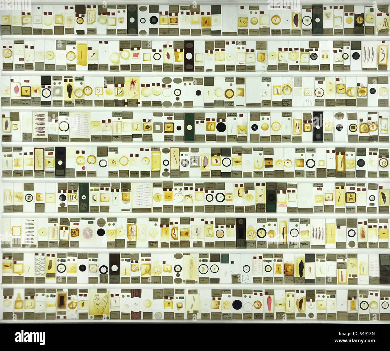 Microscope slide specimens hi-res stock photography and images - Alamy
