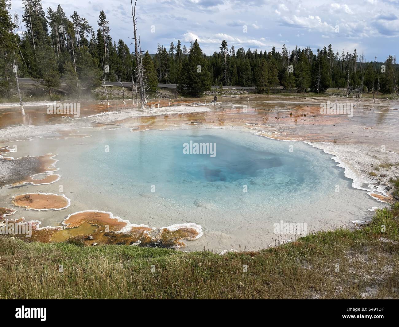 Celestine Pool, Yellowstone National Park, Wyoming, USA Stock Photo - Alamy
