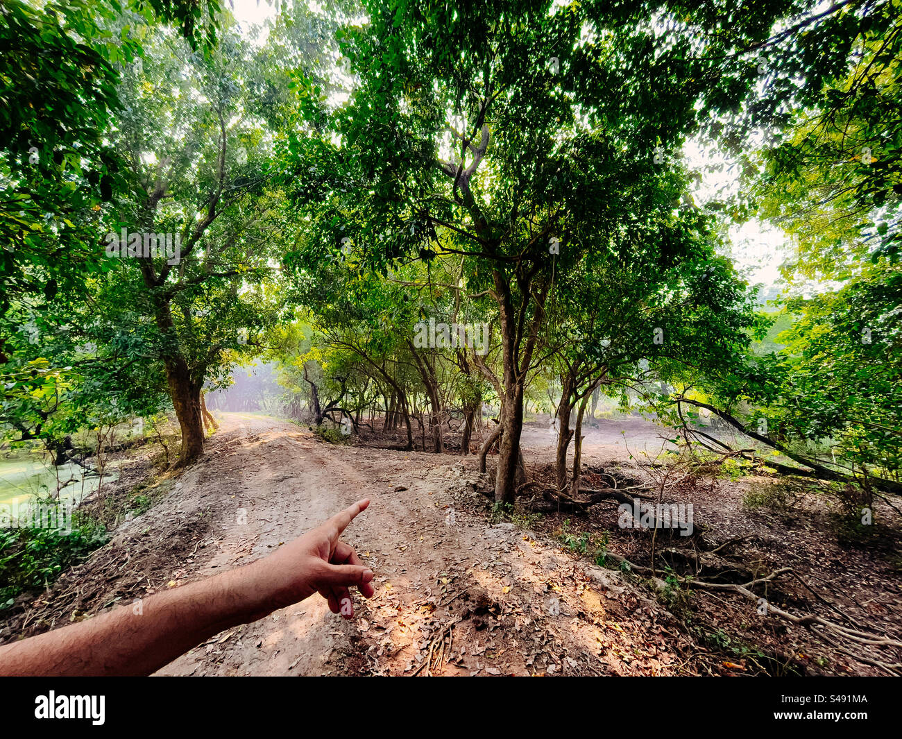 Walking jungle path hi-res stock photography and images - Alamy