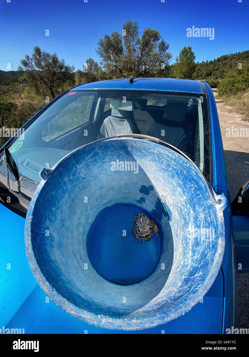 Wildlife relocation hi-res stock photography and images - Alamy