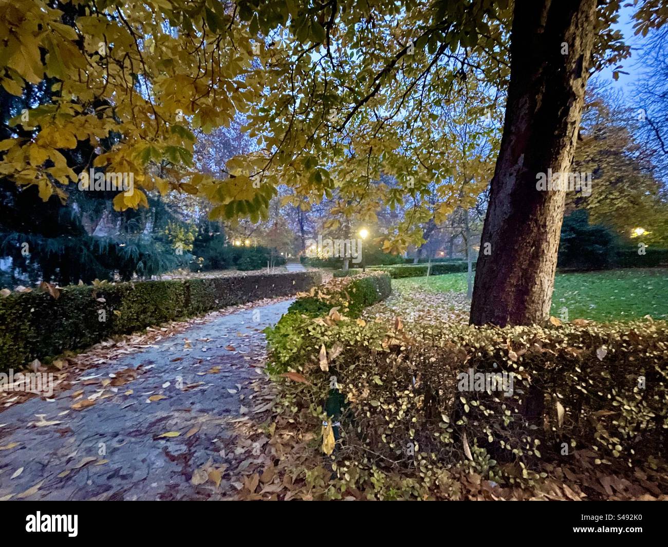 El Retiro park, night view. Madrid, Spain Stock Photo - Alamy