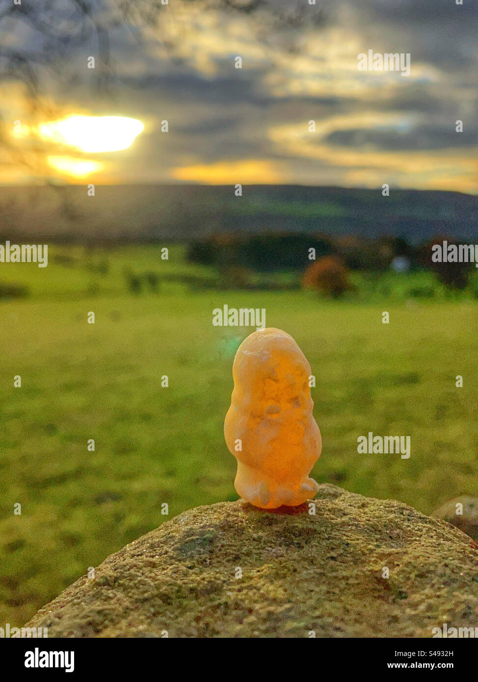 Jelly baby on a stone Stock Photo - Alamy