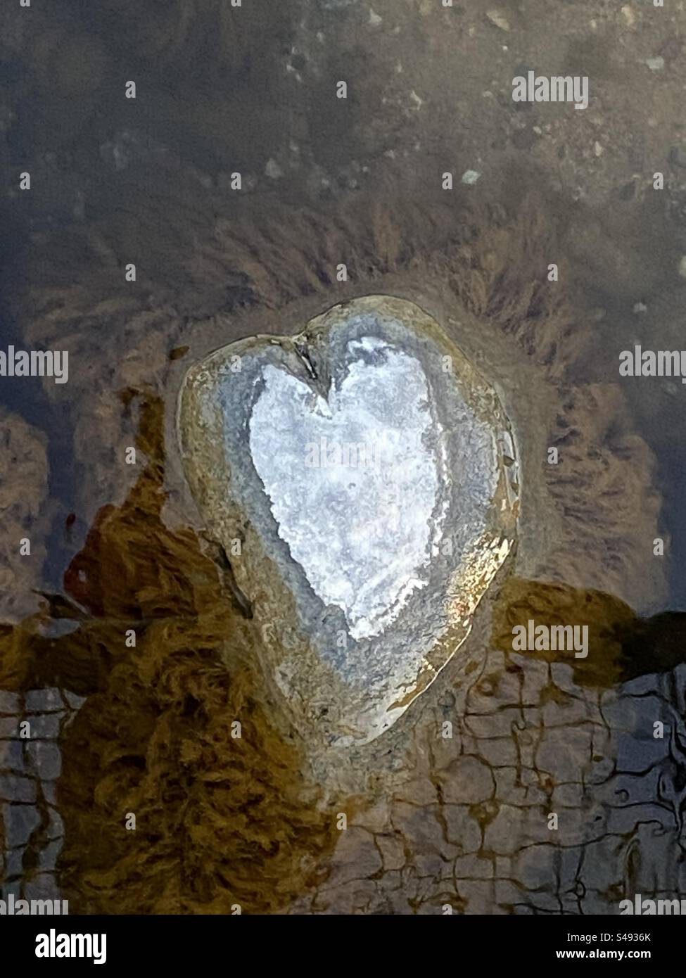 Stone in water hi-res stock photography and images - Alamy