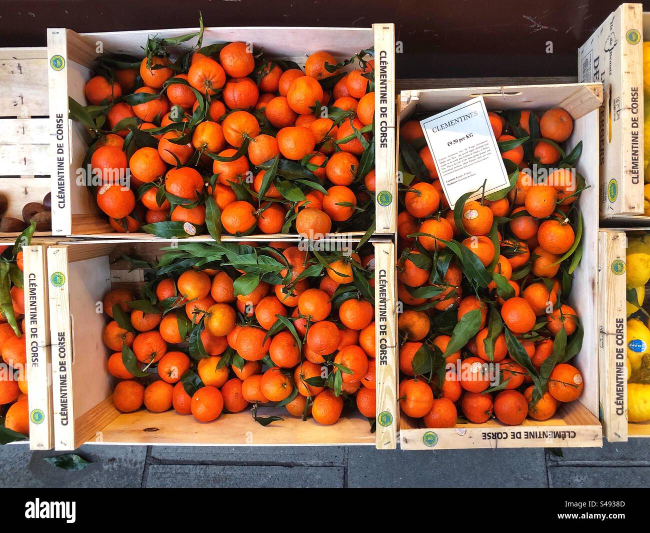 Ripe Christmas clementines priced up for sale at local grocery store ...
