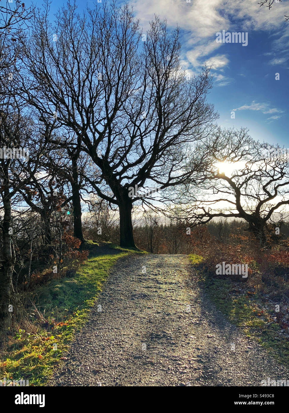 Footpath Fewston reservoir North Yorkshire Stock Photo - Alamy