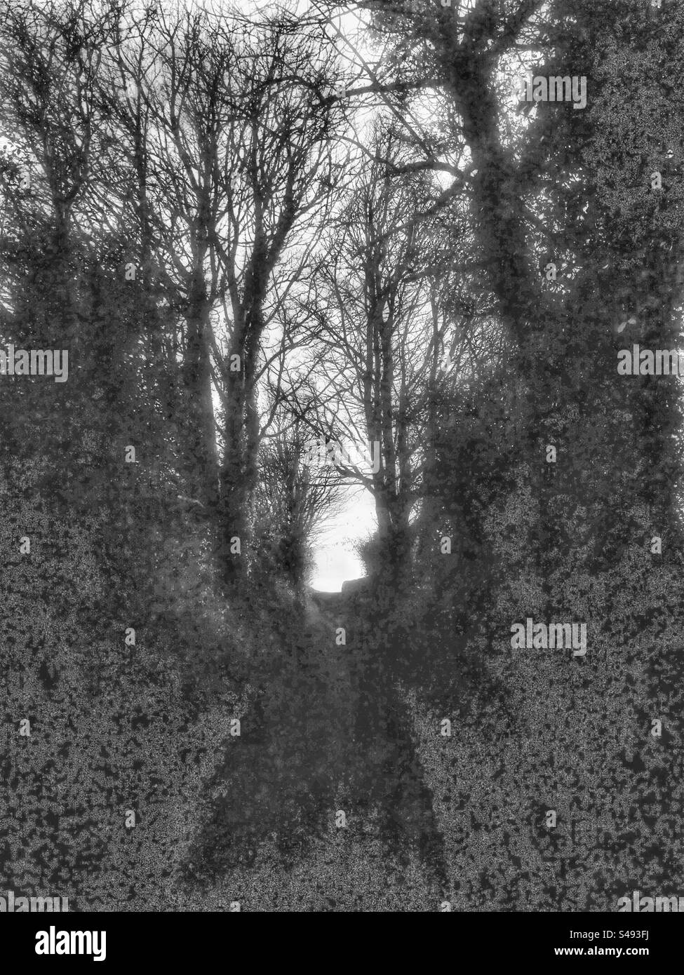 Path to the future Stock Photo - Alamy