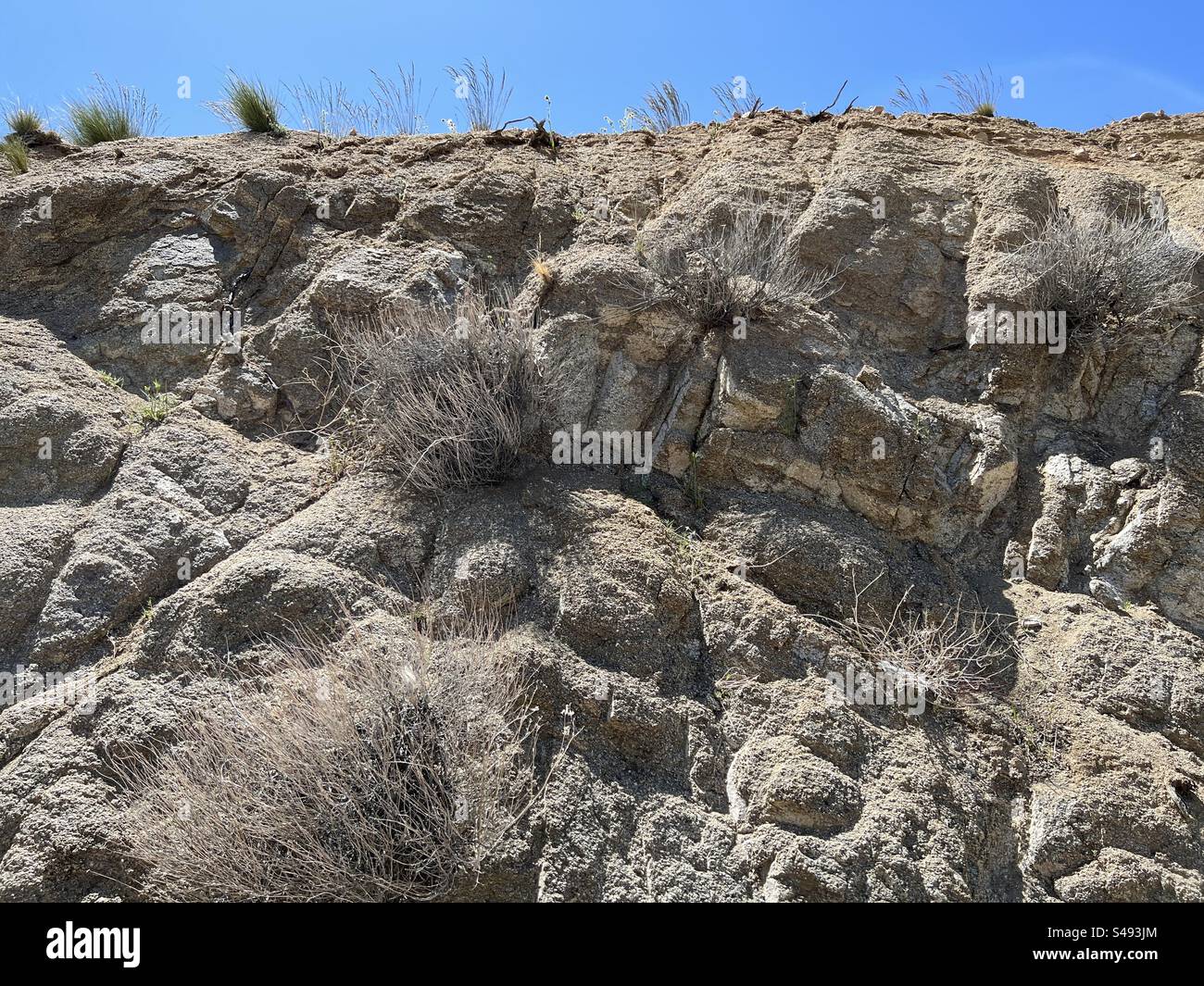Detail view looking up at sandstone rock formations with some plants ...