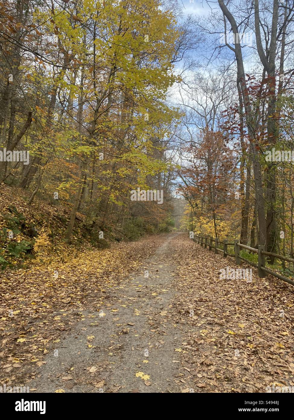 Walking fall leaves not family hi-res stock photography and images - Alamy