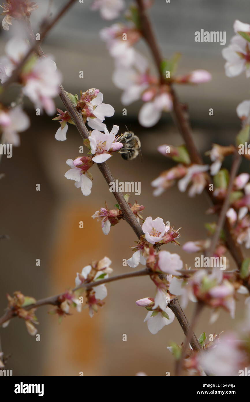 Spring photo hi-res stock photography and images - Alamy