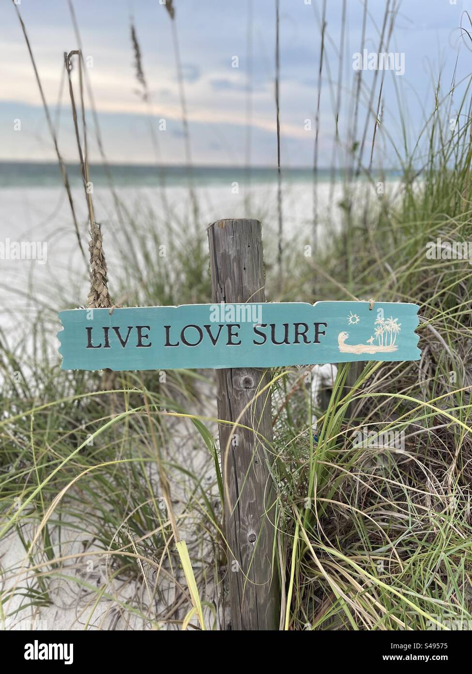 Live to surf hi-res stock photography and images - Alamy