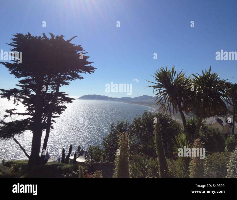 Palmen irland hi-res stock photography and images - Alamy