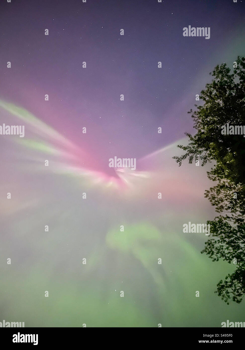 pink northern lights in nopiming provincial park, manitoba canada Stock ...