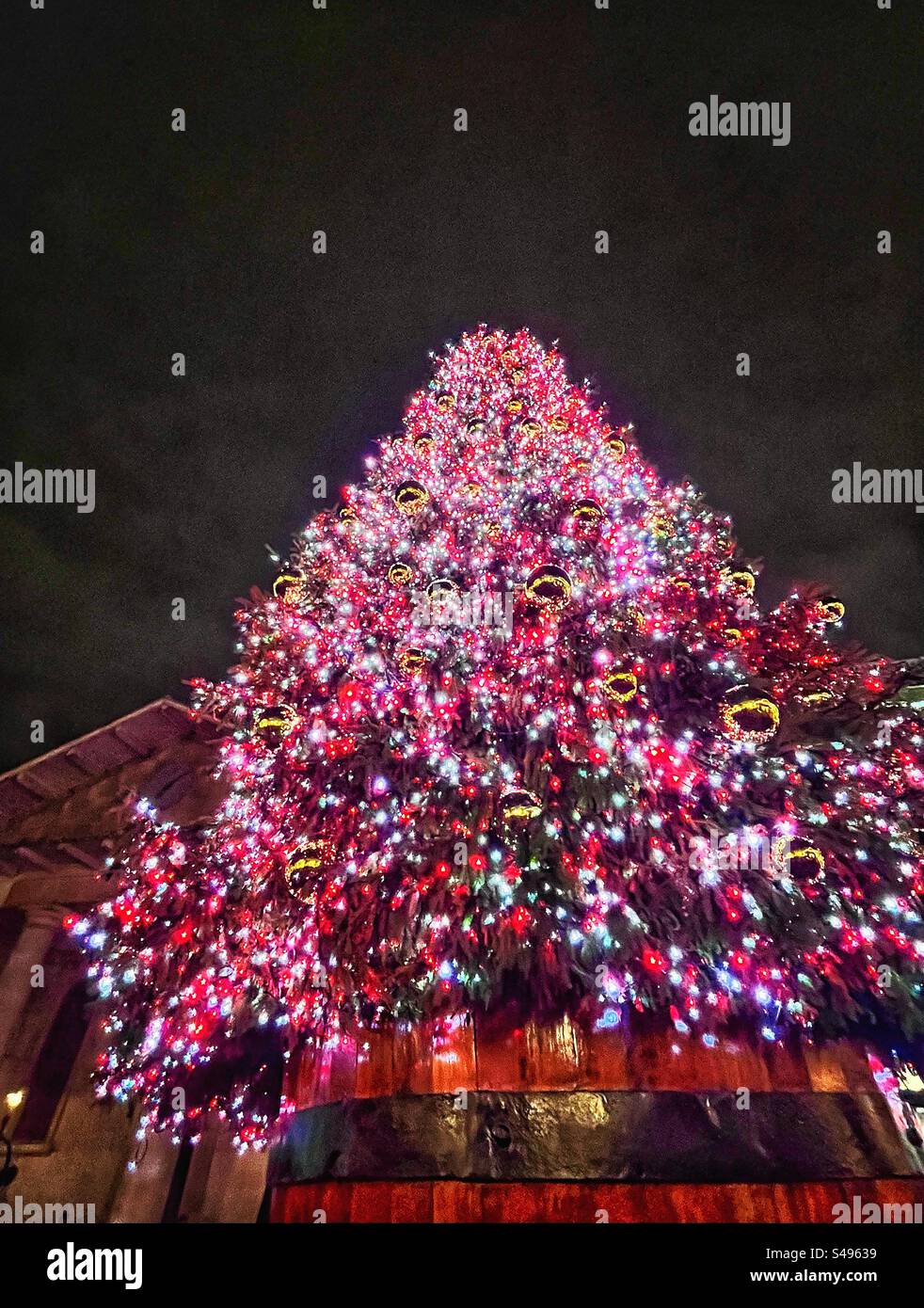 Christmas Tree full of fairy lights with the actors church in the ...