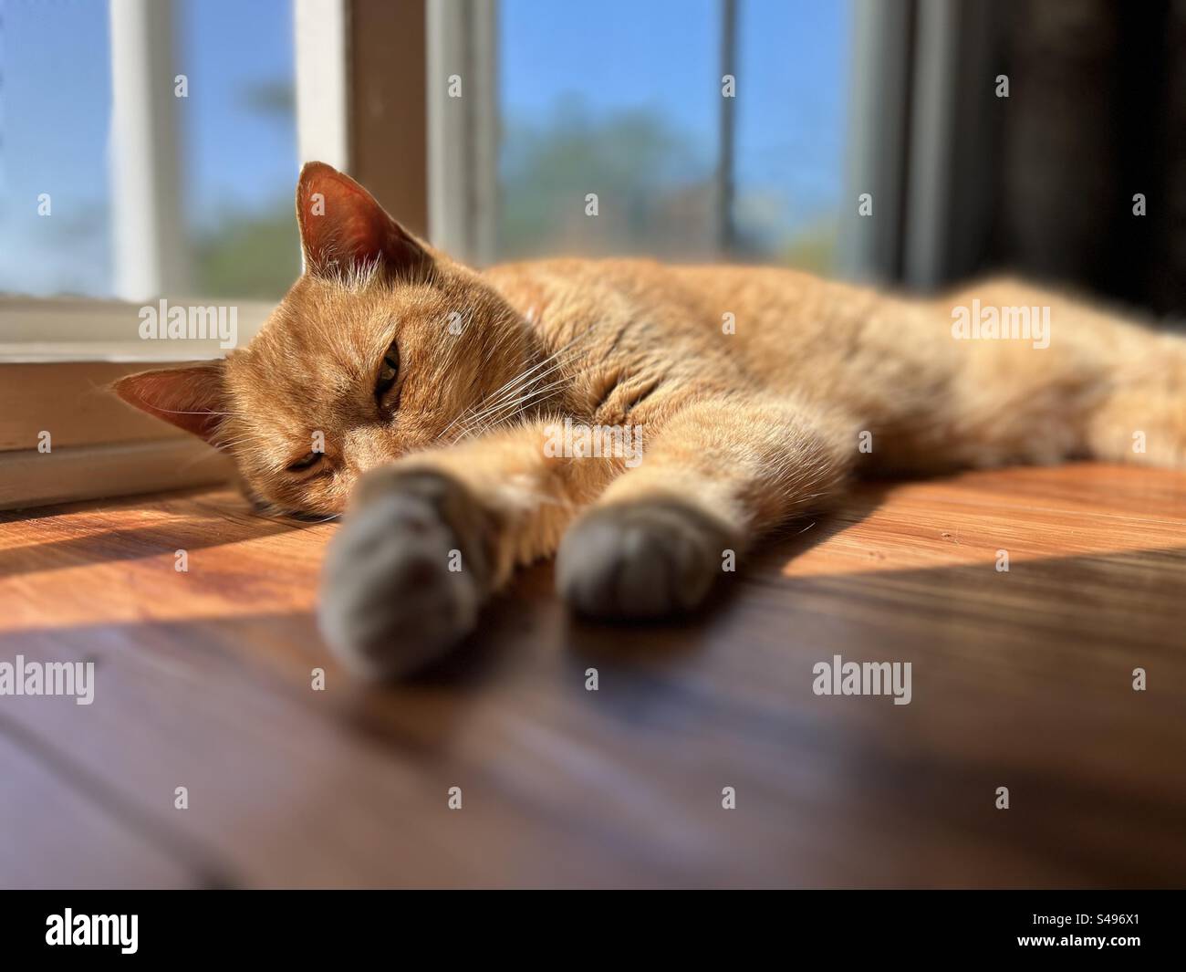 Sunny lounge hi-res stock photography and images - Alamy