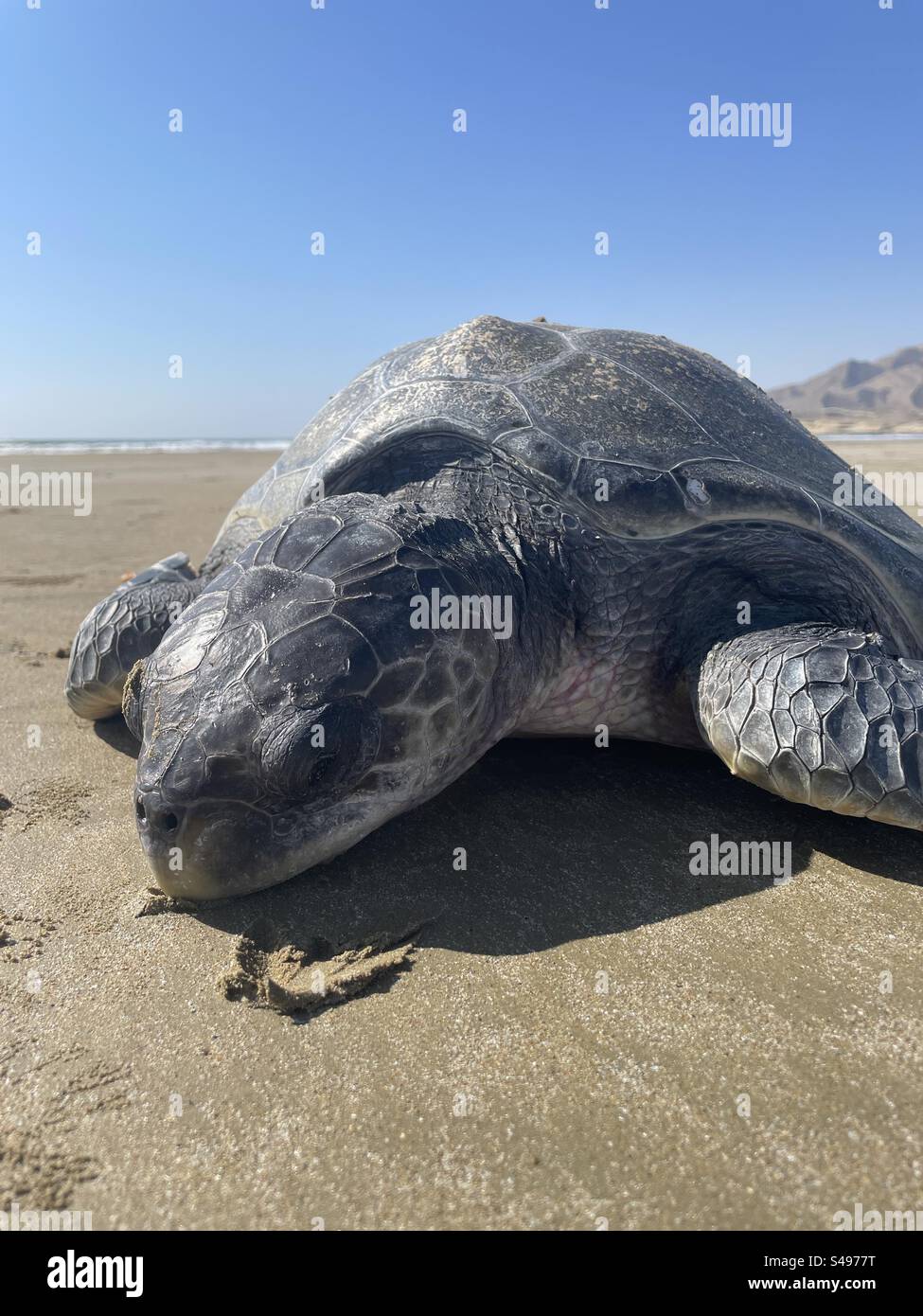 Hingol national park hi-res stock photography and images - Alamy
