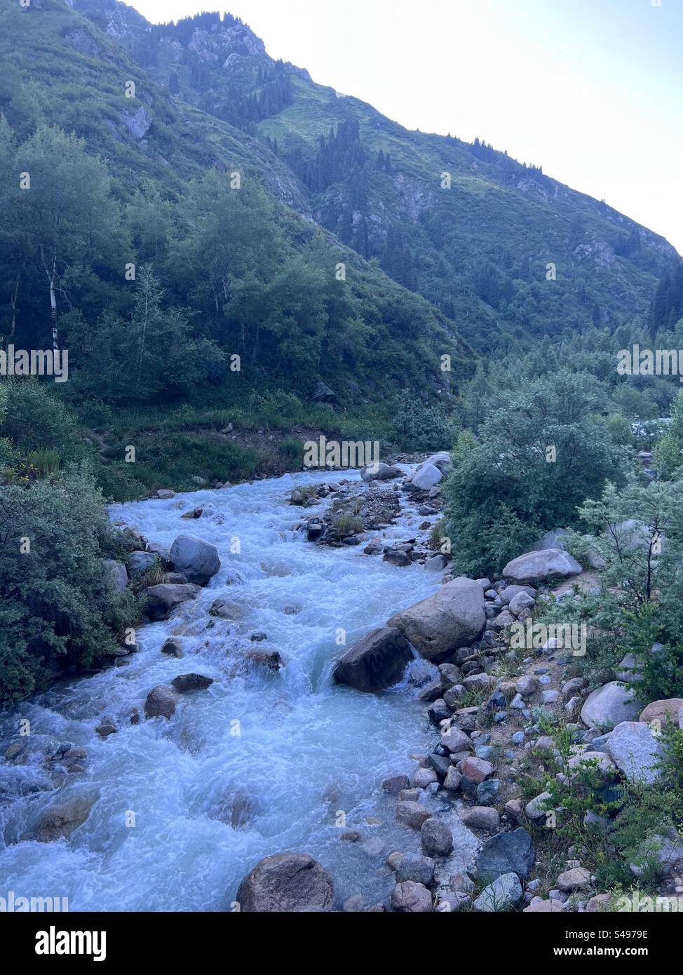 Fast in water hi-res stock photography and images - Alamy