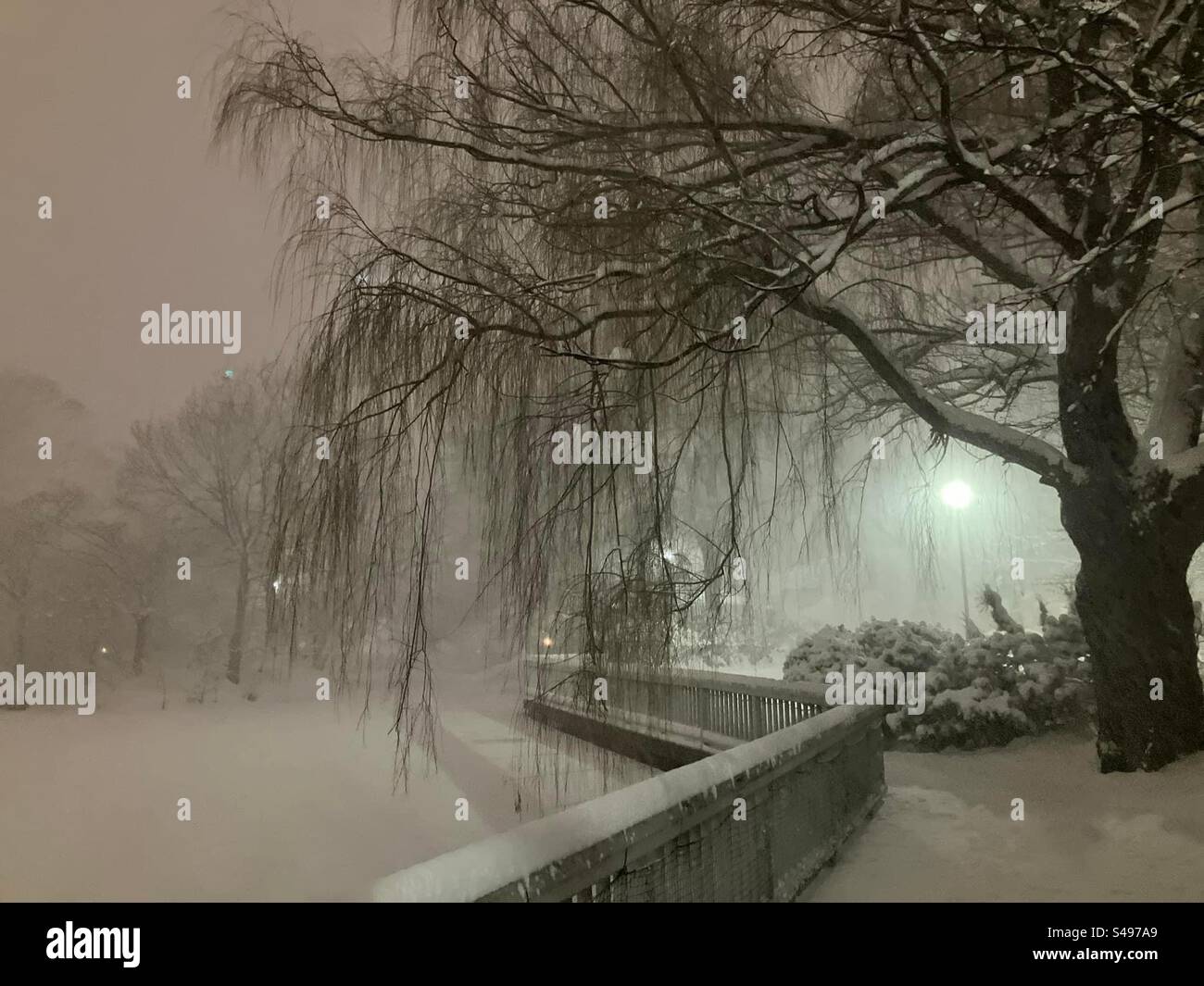 Nakajima koen park hi-res stock photography and images - Alamy