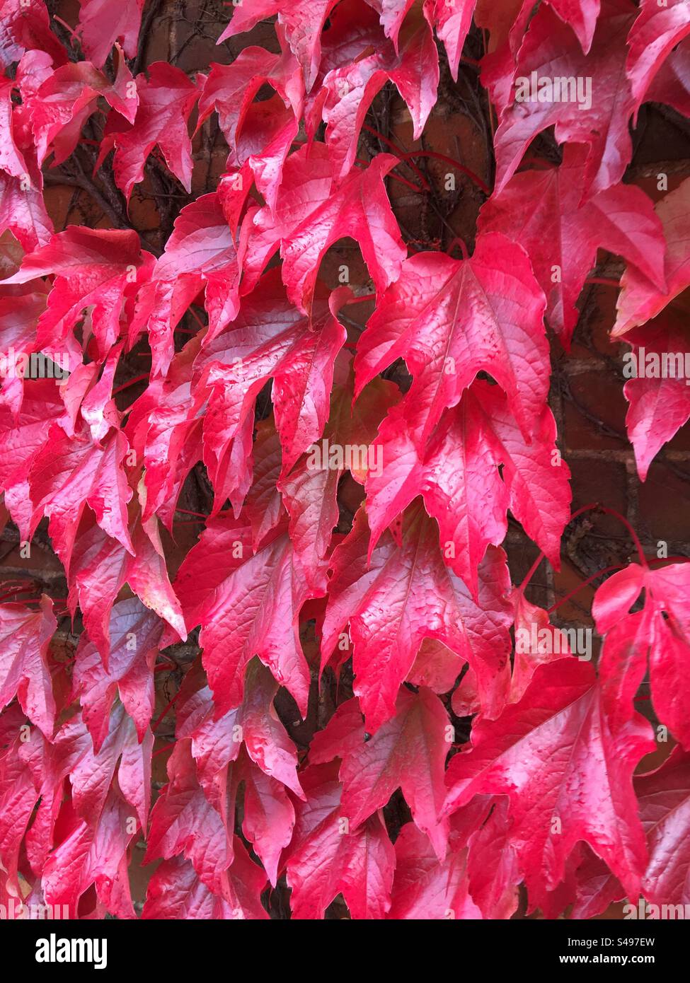 Berkshire fire hi-res stock photography and images - Alamy