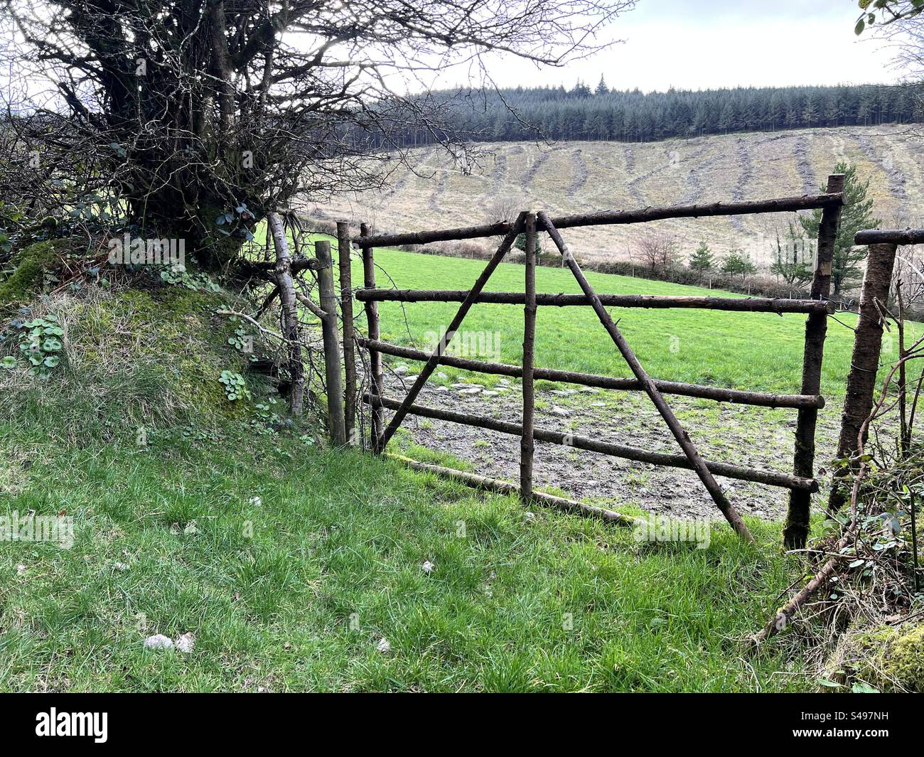 Irish farm gate hi-res stock photography and images - Alamy