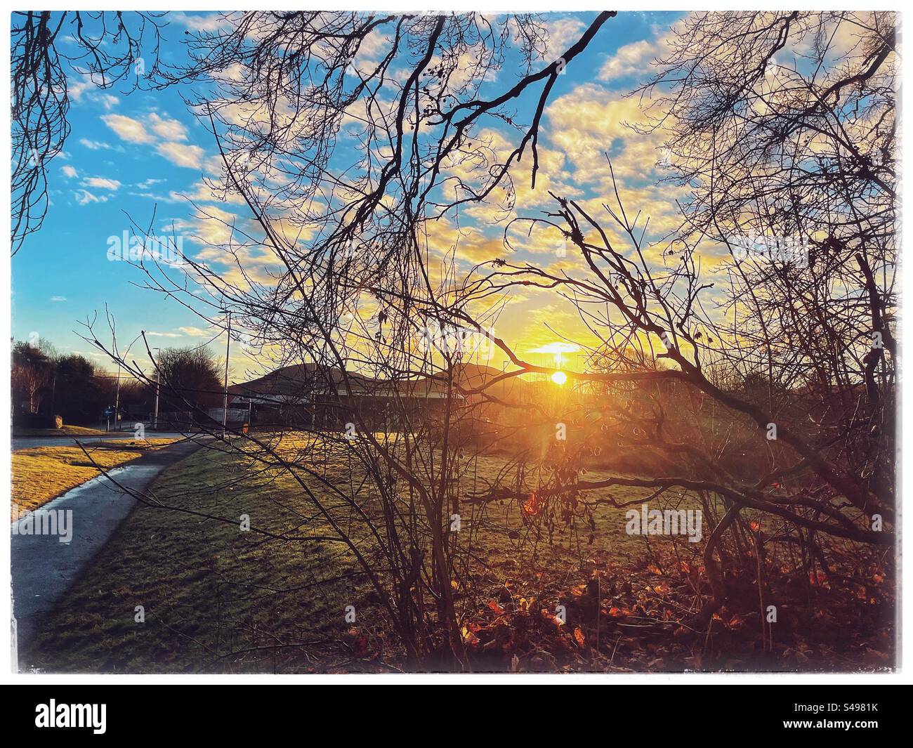 Eildon tree hi-res stock photography and images - Alamy