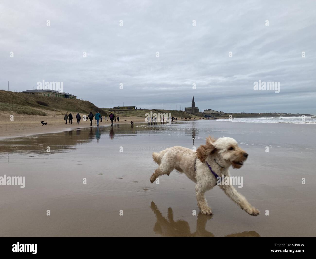 Longsands hi-res stock photography and images - Alamy
