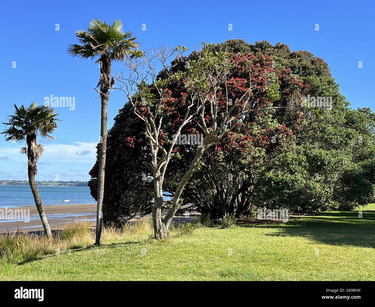 Cornwallis park hi-res stock photography and images - Alamy