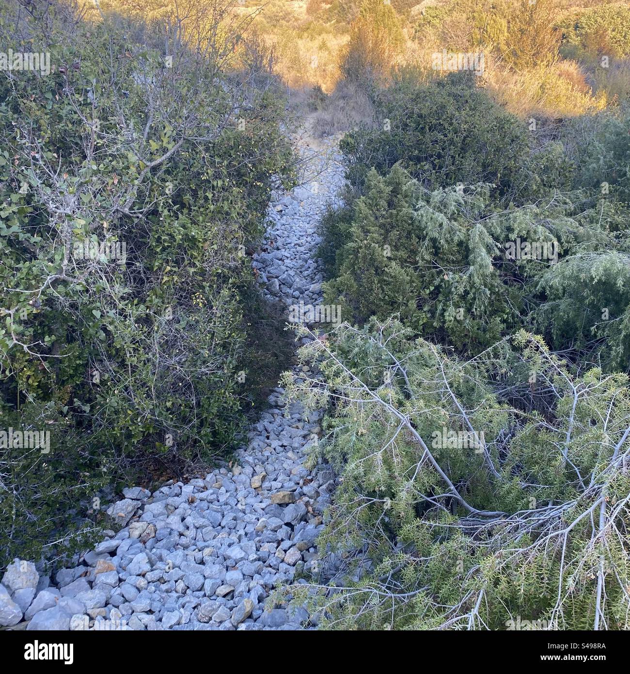 Garrigue hi-res stock photography and images - Alamy