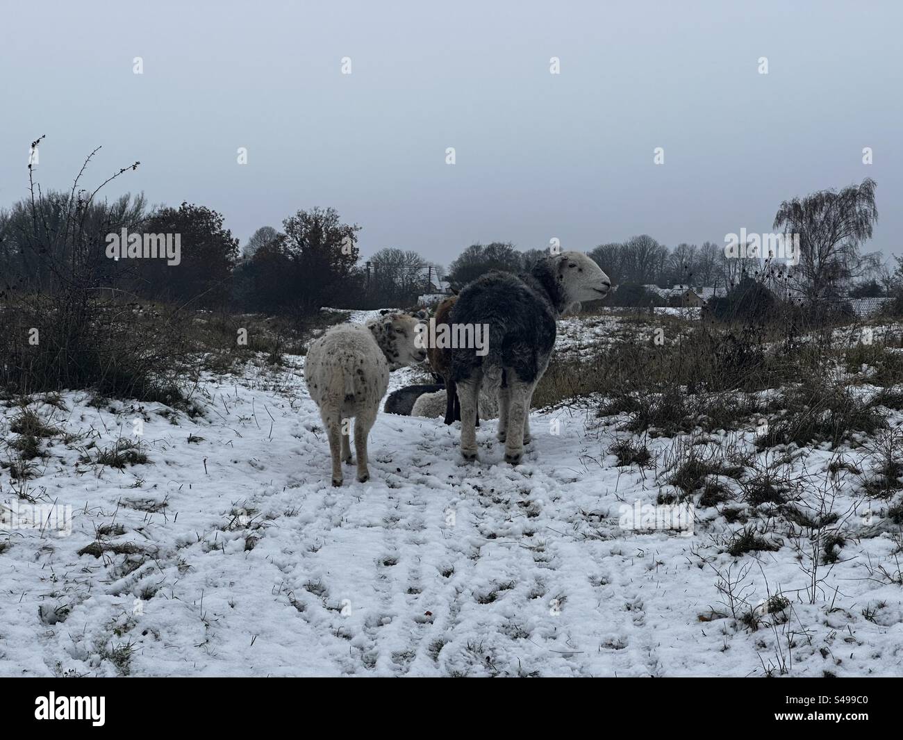 Giving you the eye hi-res stock photography and images - Alamy