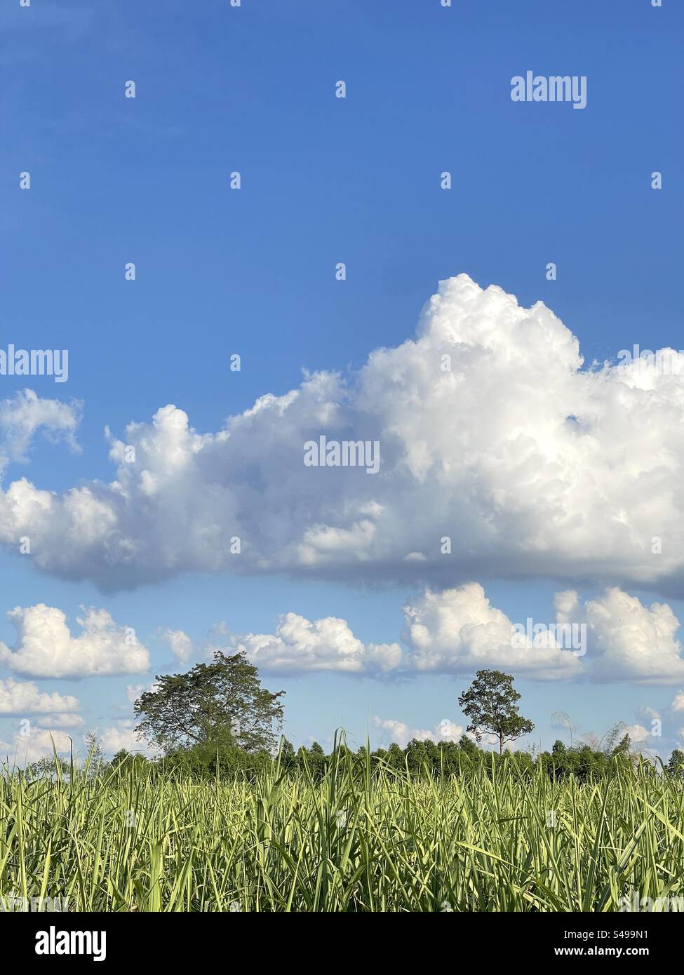 Vapor floating hi-res stock photography and images - Alamy