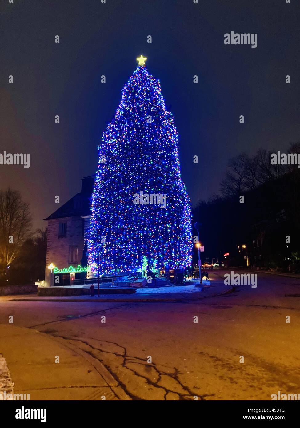 Very large fully lit Christmas tree Stock Photo - Alamy