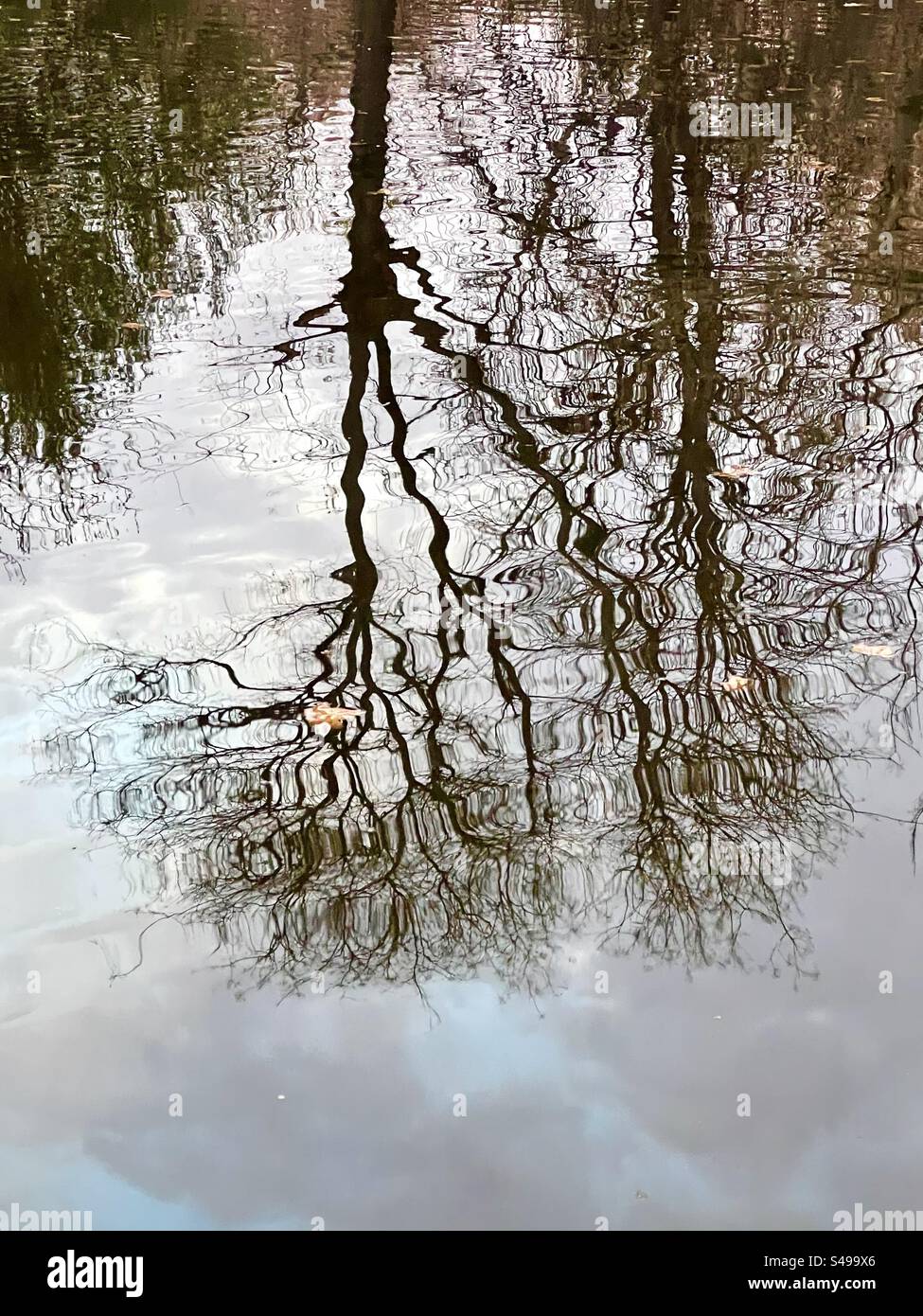 Fondo reflejado hi-res stock photography and images - Alamy