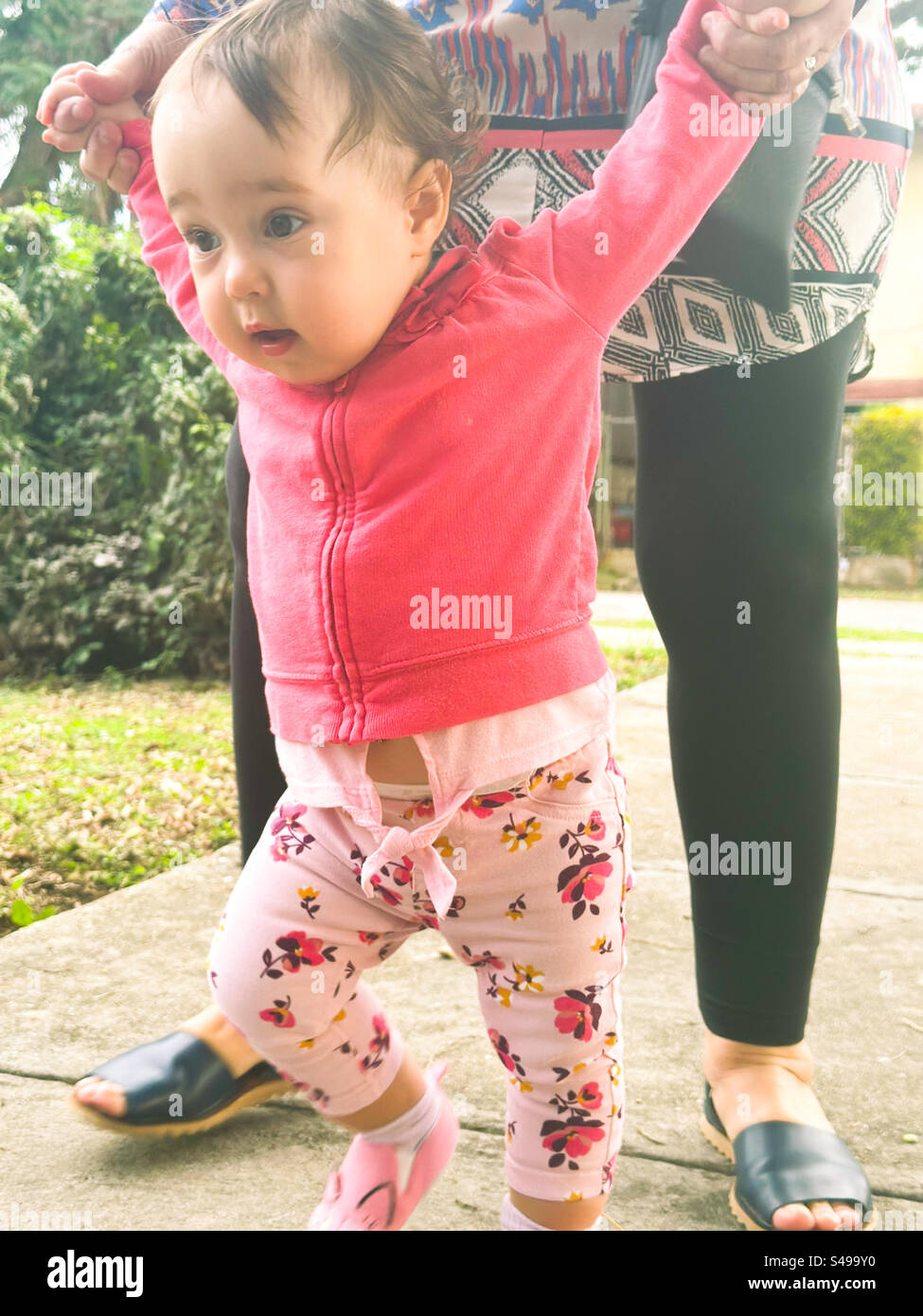 Baby’s first steps outdoors. Baby walking with excitement being helped ...