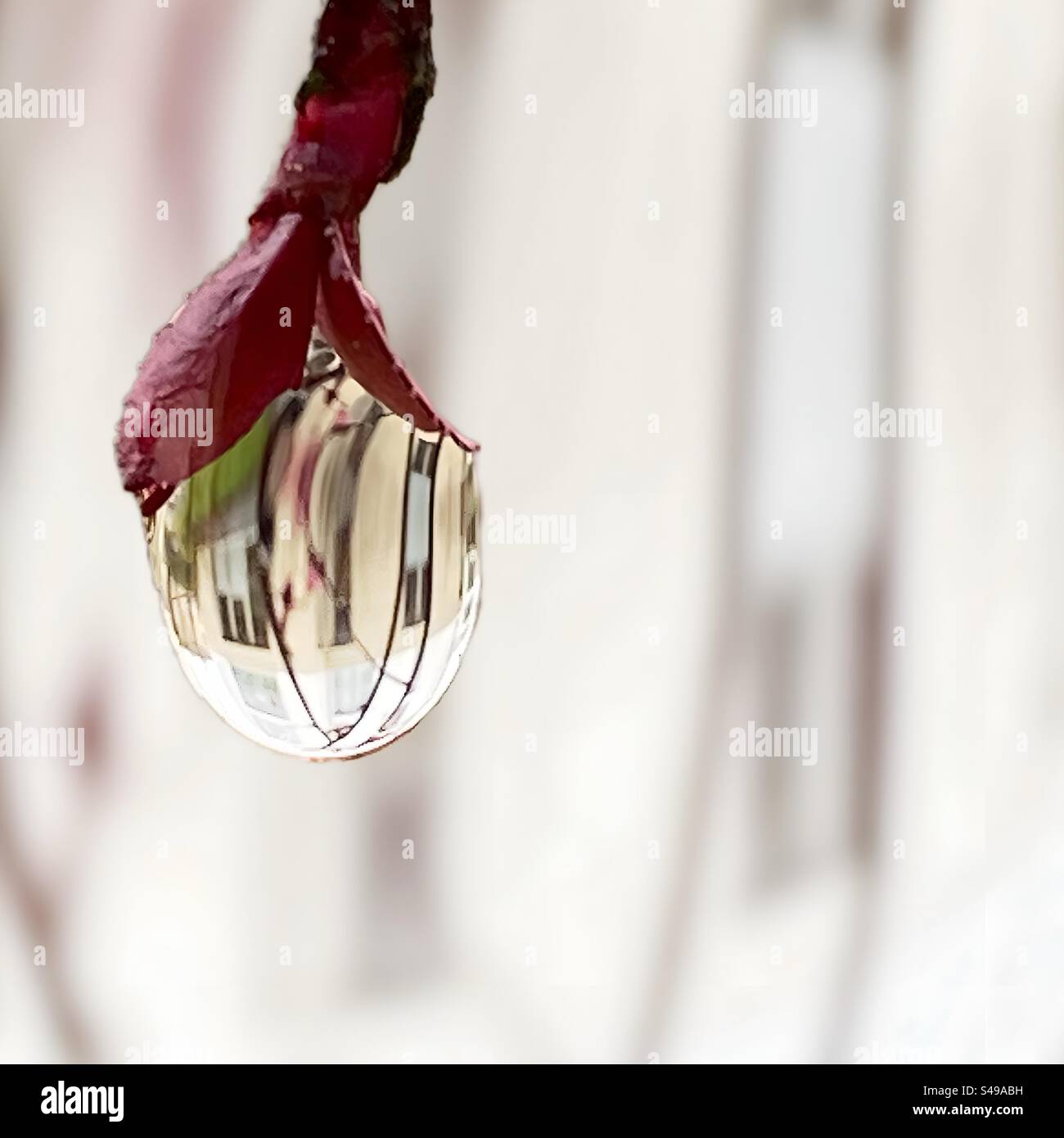 Drop house hi-res stock photography and images - Alamy