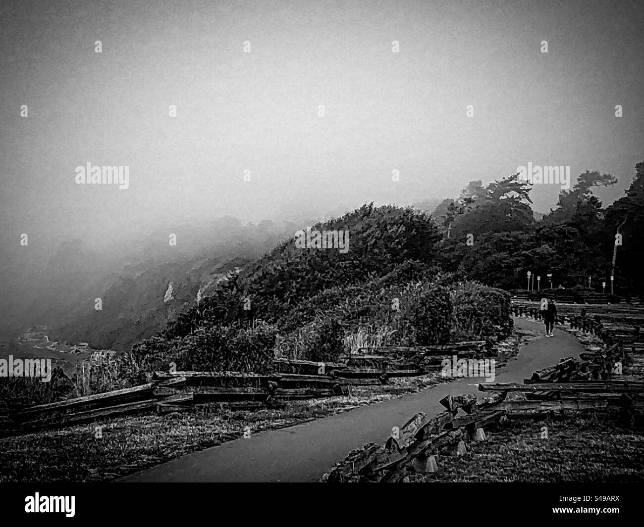Pathway Black and White Stock Photos & Images - Alamy