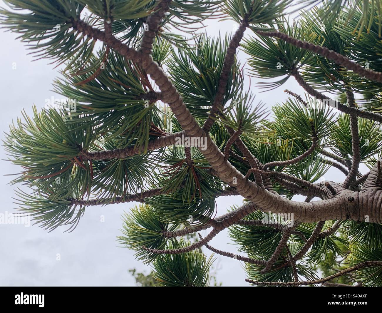 The most beautiful angle hi-res stock photography and images - Alamy