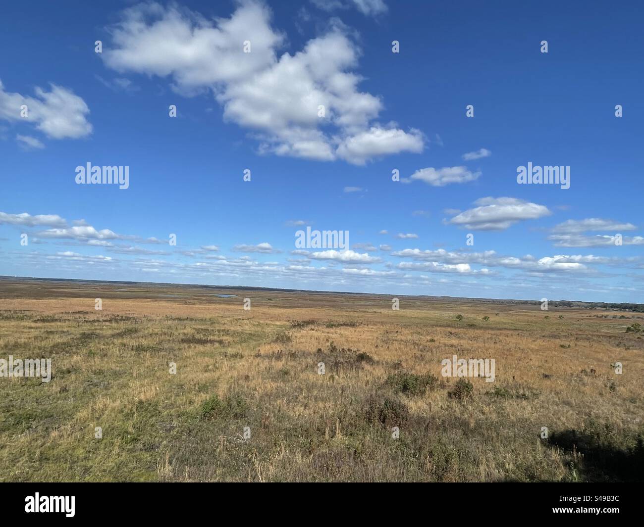 Paynes prairie trail hi-res stock photography and images - Alamy