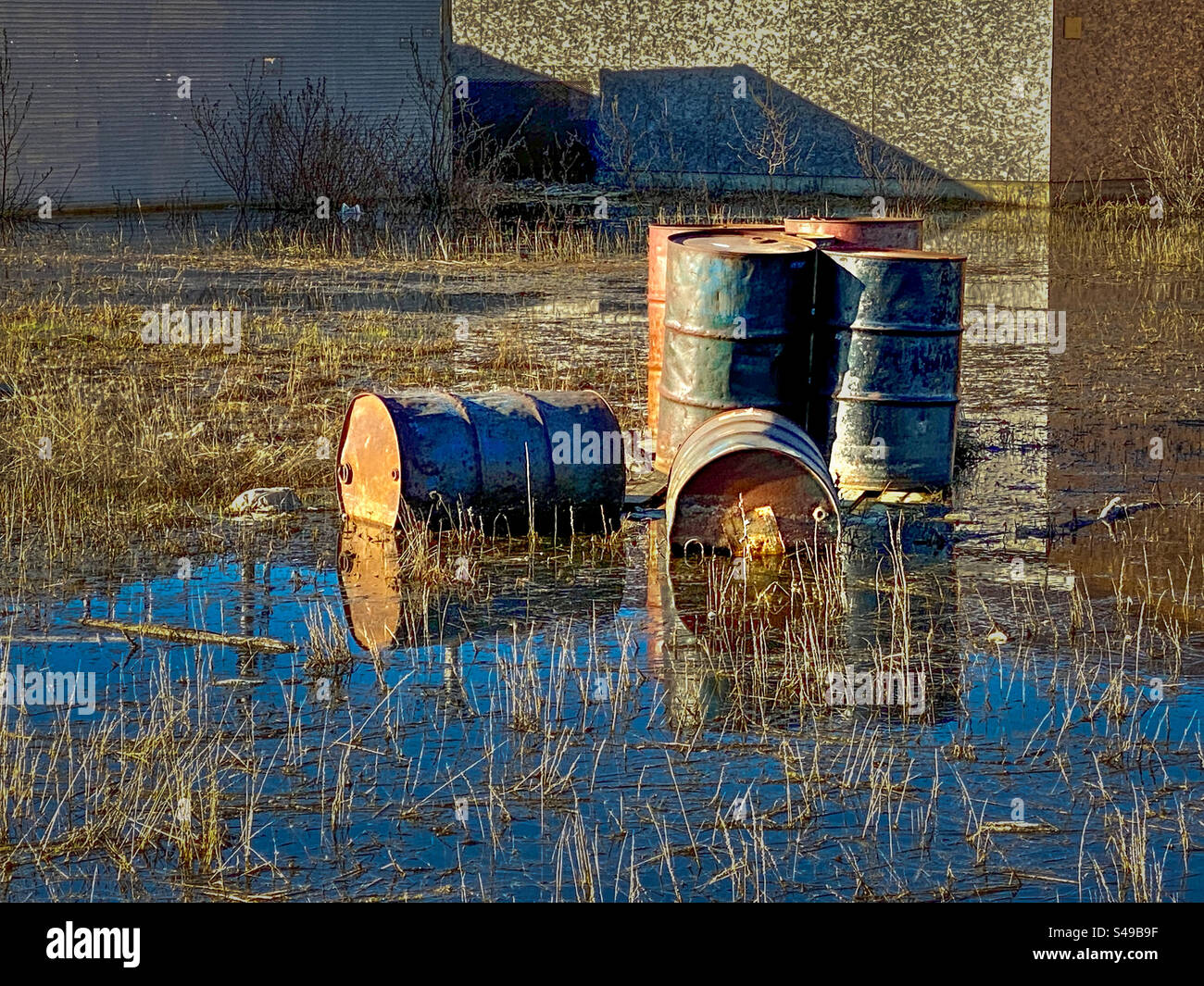 Old discarded oil drums contaminating a field Stock Photo - Alamy