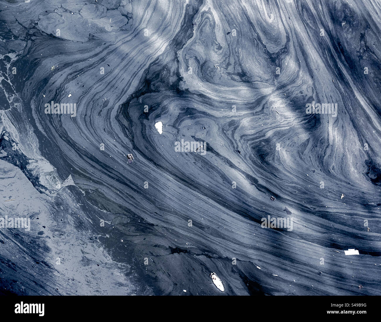 Oil slick in harbor Stock Photo - Alamy