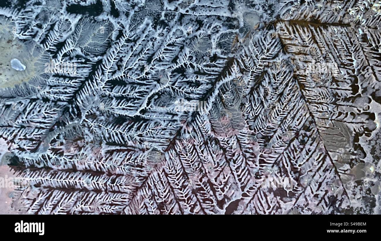 Frozen soap forms patterns in ice Stock Photo - Alamy